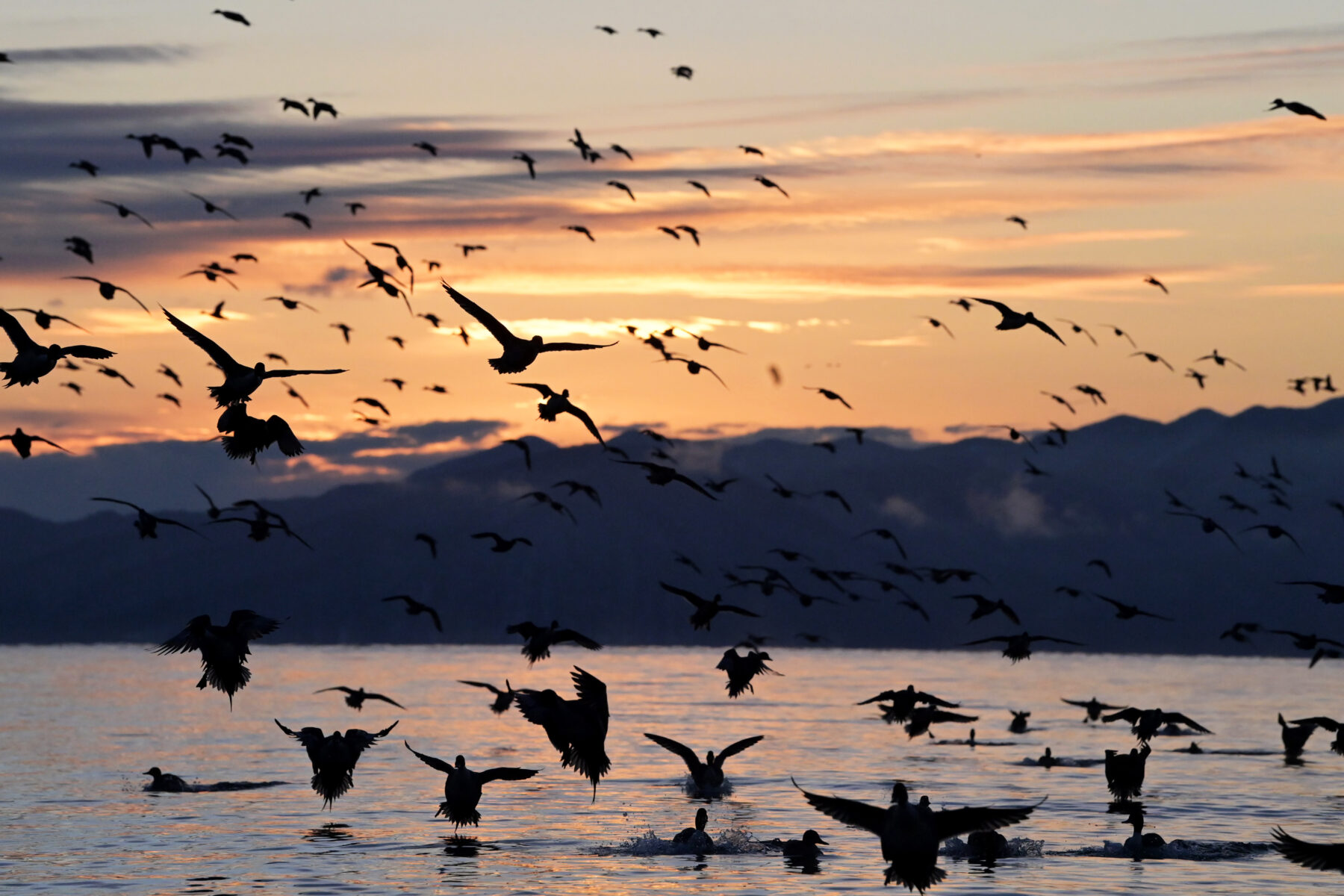 橋本倫史 結局のところ最後は人なんですよ – ページ 3 – OHTABOOKSTAND