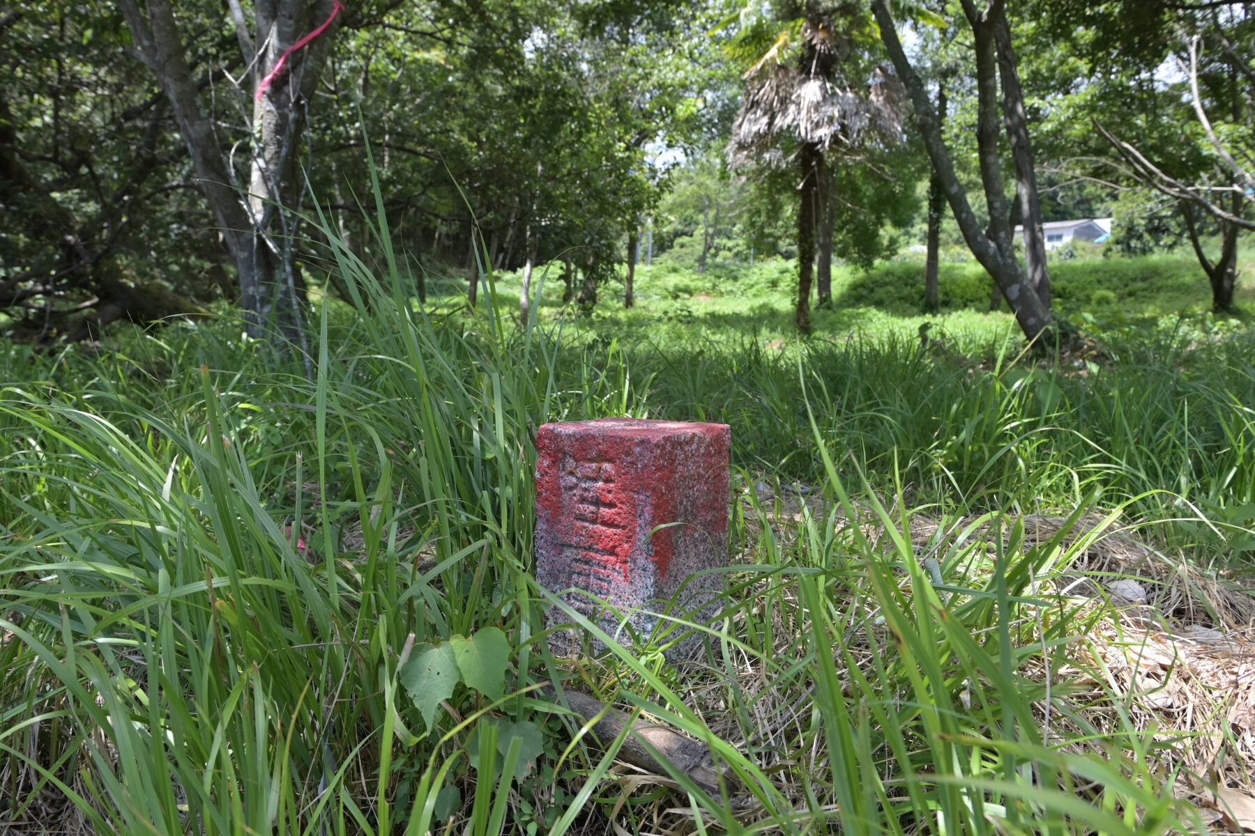 橋本倫史 広島・原爆ドームと – ページ 3 – OHTABOOKSTAND