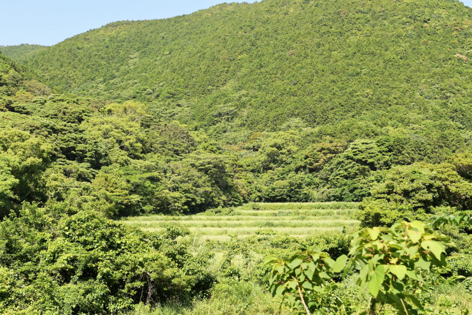 橋本倫史 世界は目には見えないものであふれている――長崎・五島列島 – ページ 3 – OHTABOOKSTAND