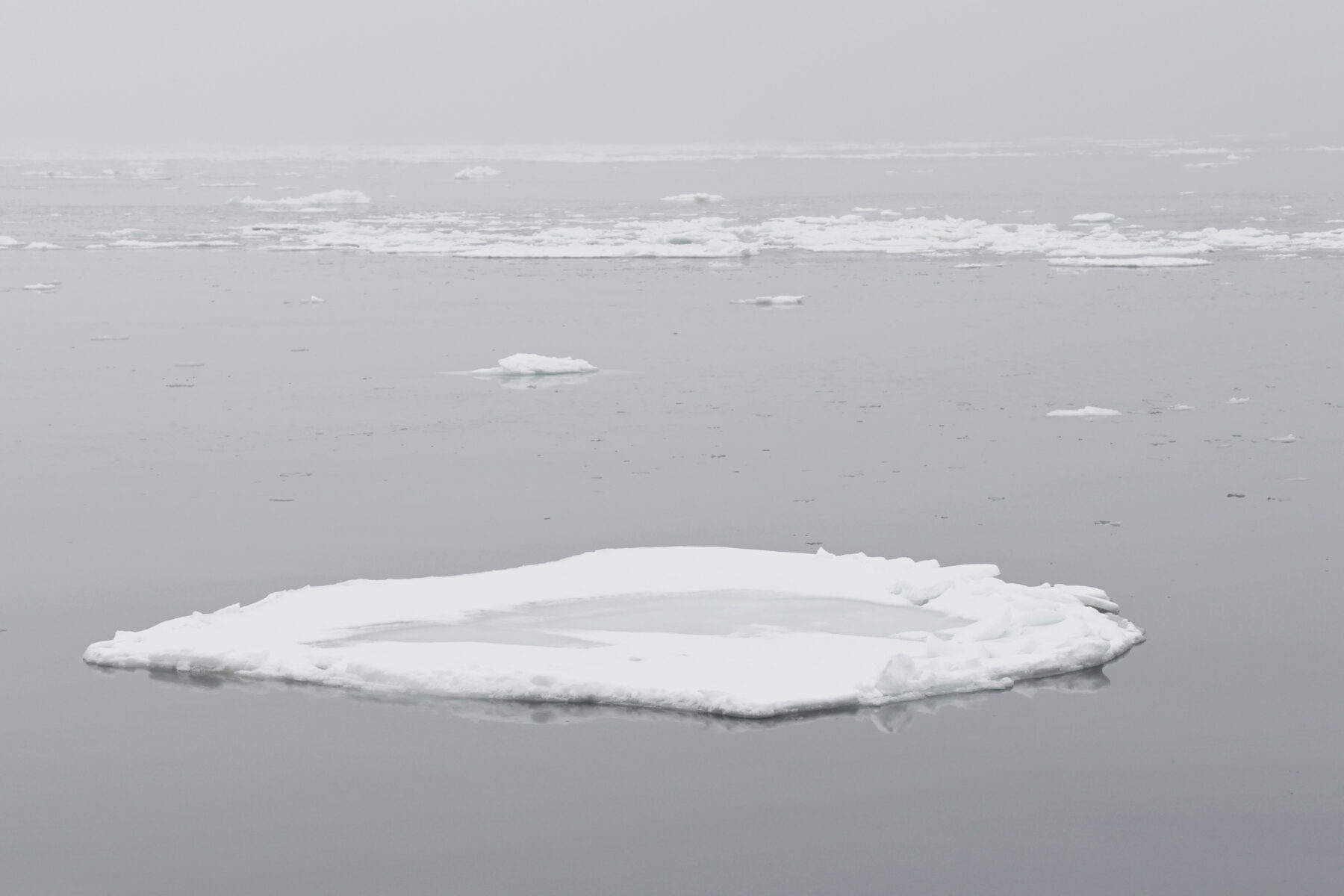 橋本倫史 人が守ってきた歴史 北海道・羅臼 – ページ 2 – OHTABOOKSTAND